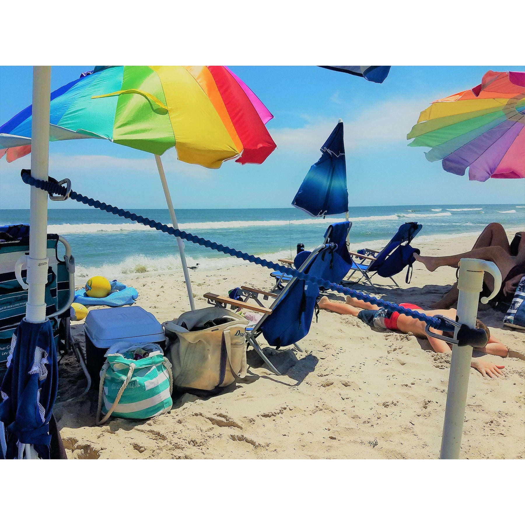 Marine Bungee Cord | Shop UV Resistant, Boat Bungee Cords Online ...